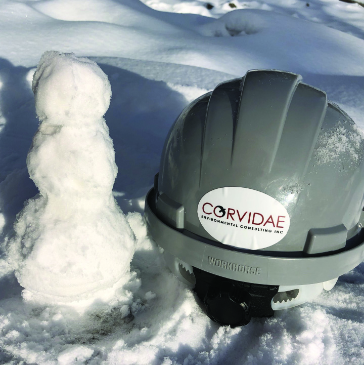 Team - Corvidae Environmental Consulting